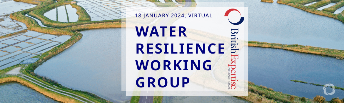 Water Resilience Working Group DevelopmentAid