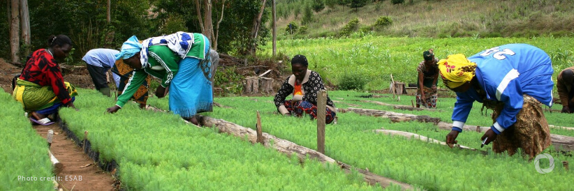 Kenya: African Development Bank adopts new 5-yr plan to boost growth ...