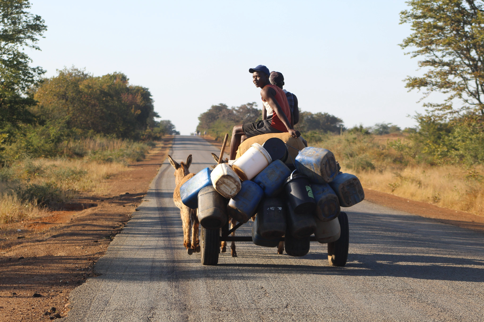 Tapping into the ecological impact of climate change in Zimbabwe ...