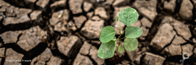 Saudi Arabia and UNEP launch World Environment Day campaigns to combat ...