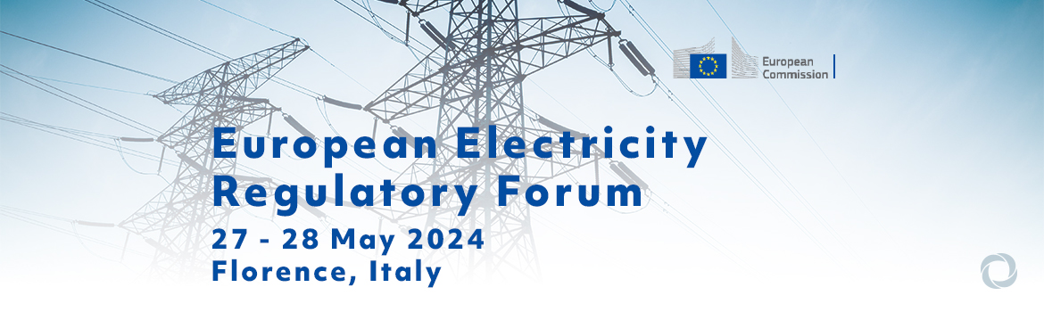 European Electricity Regulatory Forum DevelopmentAid