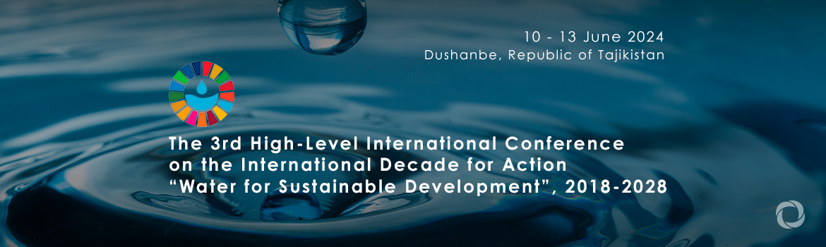 3rd High-Level International Conference on the International Decade for ...