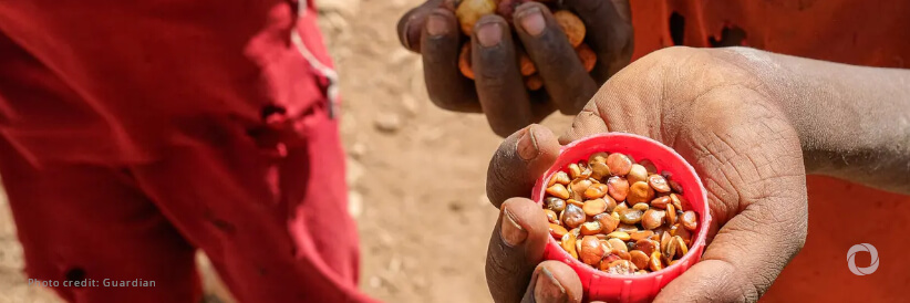 Concern reached 180,000 people at risk of serious hunger in two regions ...