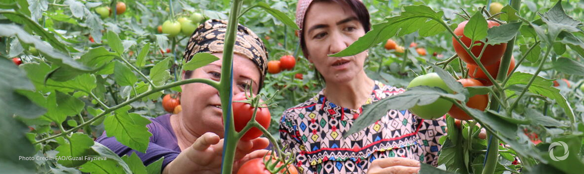 Private Public Partnerships Are Key To Agrifood Systems Transformation