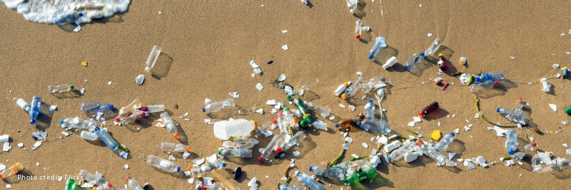 WWF welcomes commitments from 60+ countries to create binding global ...