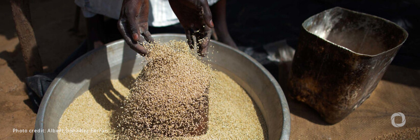 Sudan: Community kitchens bring vital food relief to thousands in North ...