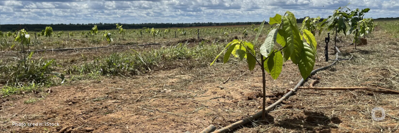WFP receives major contribution from Korea to support drought-affected ...