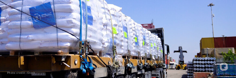 First WFP trucks cross into Gaza as ceasefire opens window of hope for ...