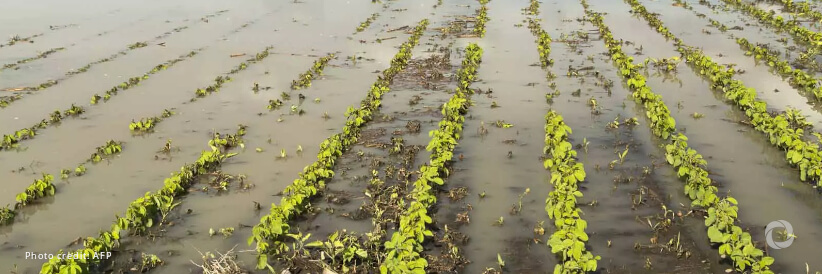 USDA delivers immediate relief to farmers, ranchers and rural ...