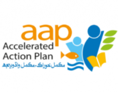 Accelerated Action Plan Task Force Secretariat — Government Body from ...