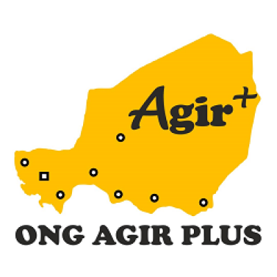 ☑️Agir Plus-21 — NGO from Niger, experience with WB — Gender, Human ...