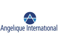 ☑️Angelique International Limited — Engineering Firm from India ...
