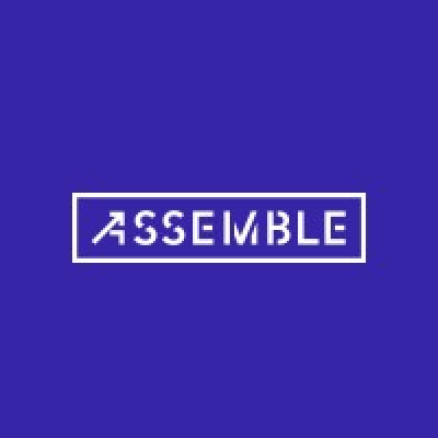 ☑️Assemble the Agency — Consulting Organization from USA — Marketing ...