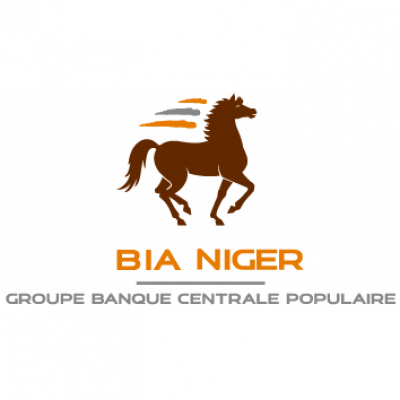 ☑️Bia Bank (Niger) — Financial Institution from Niger — Banking sector ...