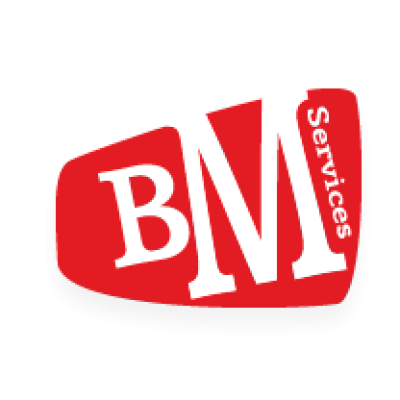 ☑️BM Services — Consulting Organization from France, experience with ...