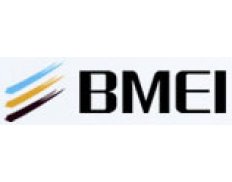 ☑️BMEI Co. Ltd — Consulting Organization from China, experience with WB ...