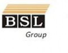 ☑️BSL Engineering Services (BES) — Consulting Organization,Engineering ...