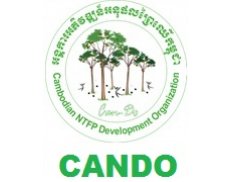 ☑️CANDO — Consulting Organization from Cambodia — Civil Society & NGOs ...
