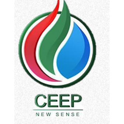 ☑️CEEP - Centre for Energy, Environment and Productivity — Consulting ...