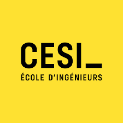 ☑️CESI International — Consulting Organization from Belgium, experience ...