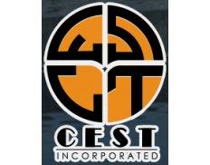 ☑️CEST Inc. — Consulting Organization from the Philippines, experience ...