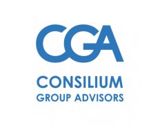 ☑️CGA - Consilium Group Advisors — Consulting Organization from USA ...