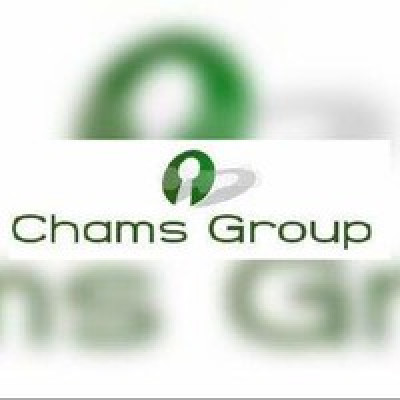 ☑️Chams Group — Consulting Organization from Niger — Electrical ...