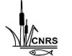 ☑️CNRS - Center for Natural Resource Studies — NGO from Bangladesh, experience with ADB, FCDO ...