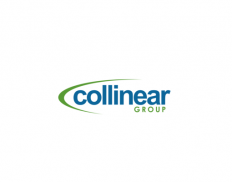 ☑️Collinear Group — Consulting Organization from USA, experience with ...