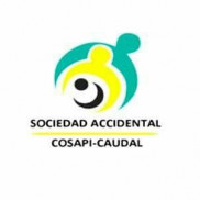 ☑️Cosapi - Caudal Srl — Engineering Firm from Bolivia, experience with ...