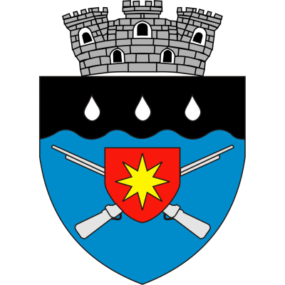 Darabani City Hall/ Orasul Darabani — Government Body from Romania ...