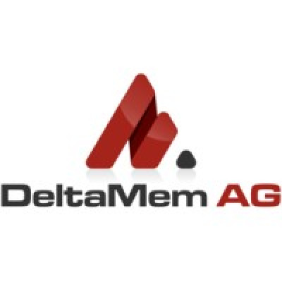 ☑️DeltaMem AG — Consulting Organization from Switzerland, experience ...