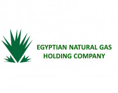 ☑️Egyptian Natural Gas Holding Company — Other public service entity ...