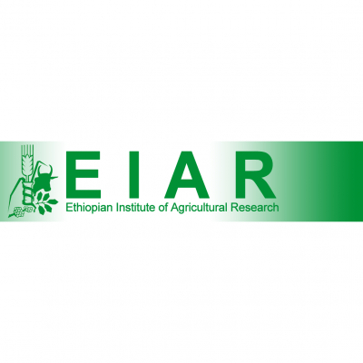 Page Not Found DevelopmentAid