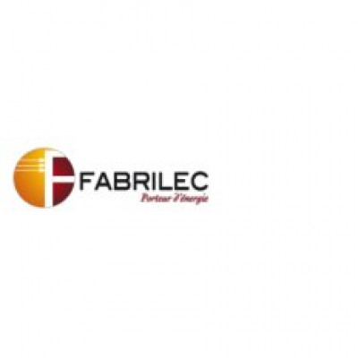 ☑️FABRILEC (Cameroon) — Consulting Organization from Cameroon — Civil ...
