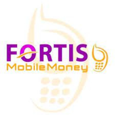 ☑️Fortis Mobile Money Ltd — Other from Nigeria, experience with WB ...