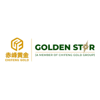 ☑️Golden Star Resources — Supplier from Canada — Mining sector ...