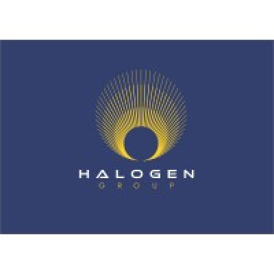 Halogen Security Logo HoenyFly JD Photography Flash Bulb 150W/250W E11