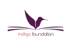 ☑️Indigo Foundation — NGO from Australia — Education, Food Security ...
