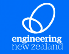 Professional Engineer Logo