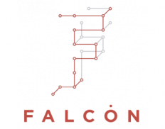 ☑️Instrumentos u Equipos Falcon SA de CV — Consulting Organization from ...
