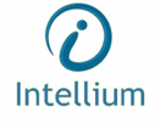 ☑️Intellium — Supplier from India, experience with WB — Information ...