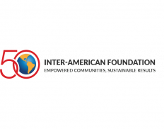 ☑️Inter-American Foundation — Foundation from USA, experience with NPO ...
