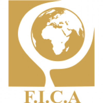 ☑️Internationals Federation Chambers of Africa — NGO from Togo — Inst ...