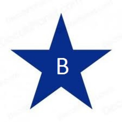 ☑️Blue Star — Engineering Firm from South Africa, experience with DBSA ...