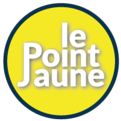 ☑️Le Point Jaune — Consulting Organization from France, experience with ...