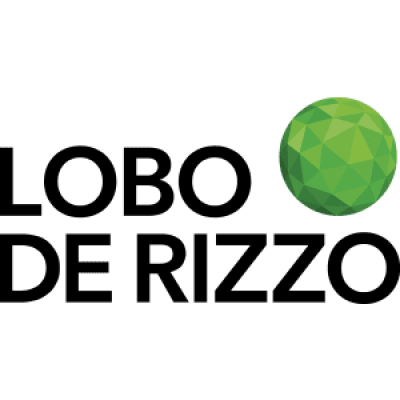 ☑️Lobo de Rizzo — Consulting Organization from Brazil, experience with ...