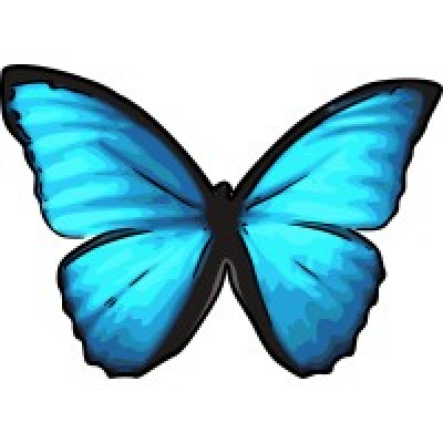 ☑️Morfo Design Srl. — Engineering Firm from Italy, experience with EC ...