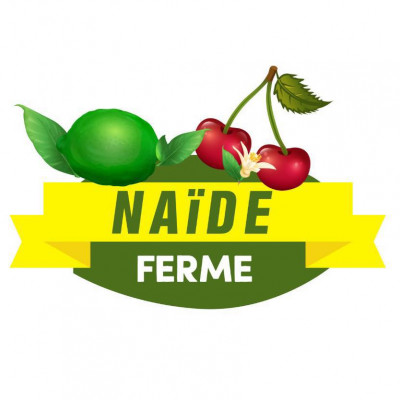 ☑️Naide Ferme Agricole — Supplier from Haiti, experience with WB ...