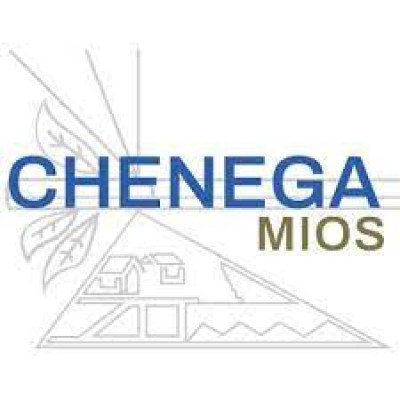 ☑️Native Technology Solutions (NTS), LLC (Chenega MIOS) — Engineering ...